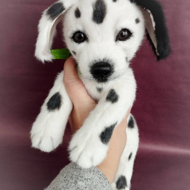 Realistic Stuffed Dogs - Etsy