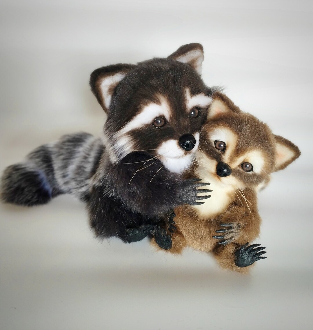 Raccoon Realistic, Black Raccoon, Plush Raccoon, Animal Portrait, Teddy ...