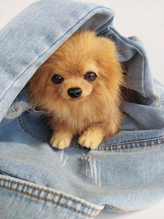 Spitz Dog Puppy Plush Toycollectible Toypomeranian - Etsy