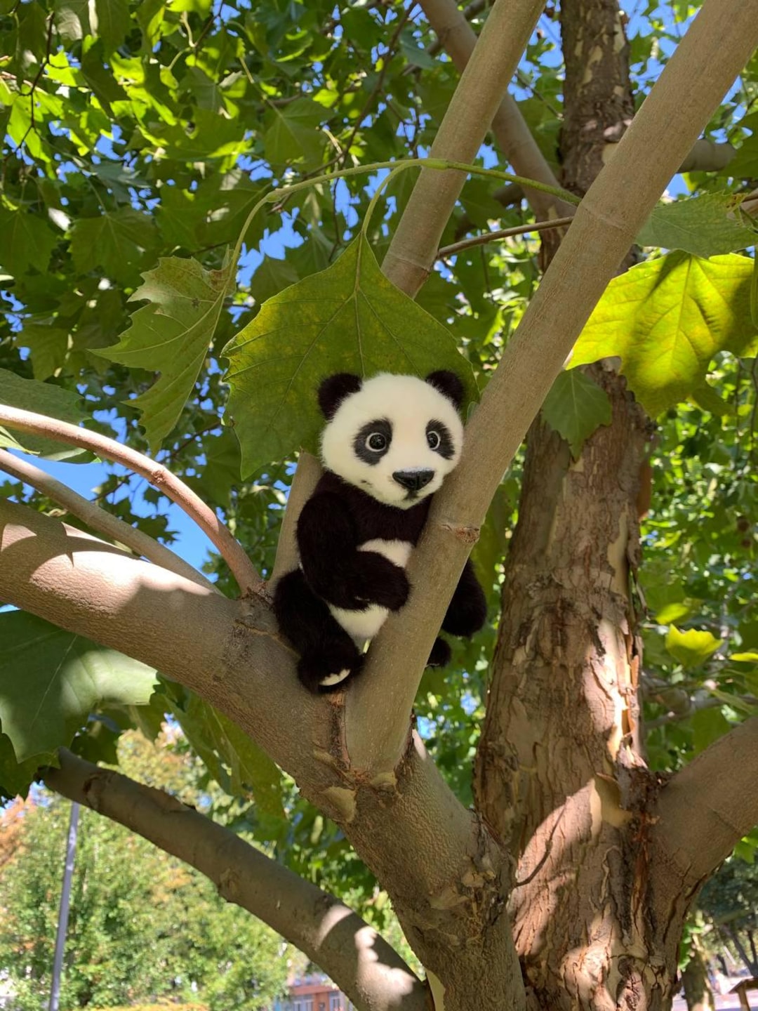 Panda Teddy Bear, Teddy Bear Plush, Cute Teddy Bear Handmade, Stuffed ...