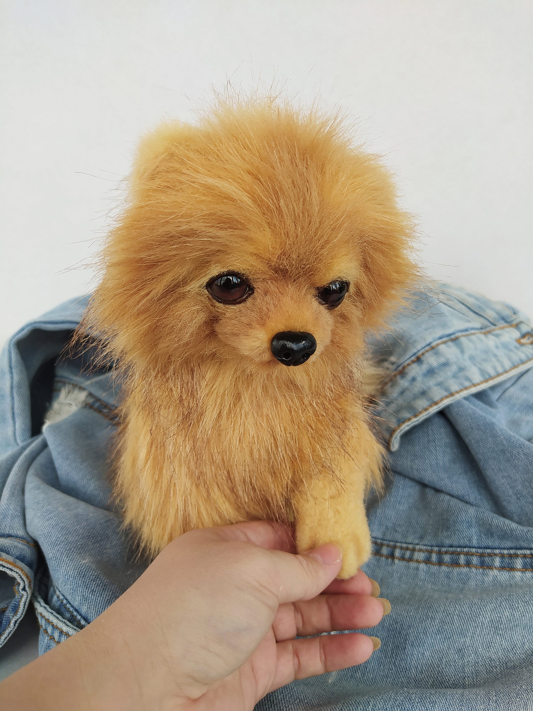 Spitz Dog Puppy Plush Toycollectible Toypomeranian - Etsy