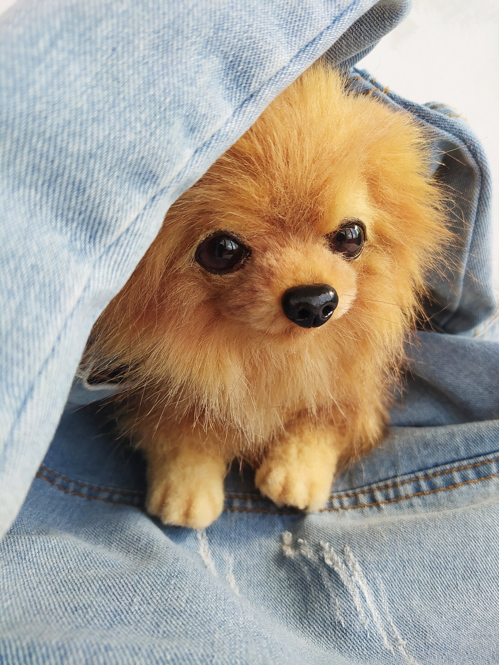 Spitz Dog Puppy Plush Toycollectible Toypomeranian - Etsy