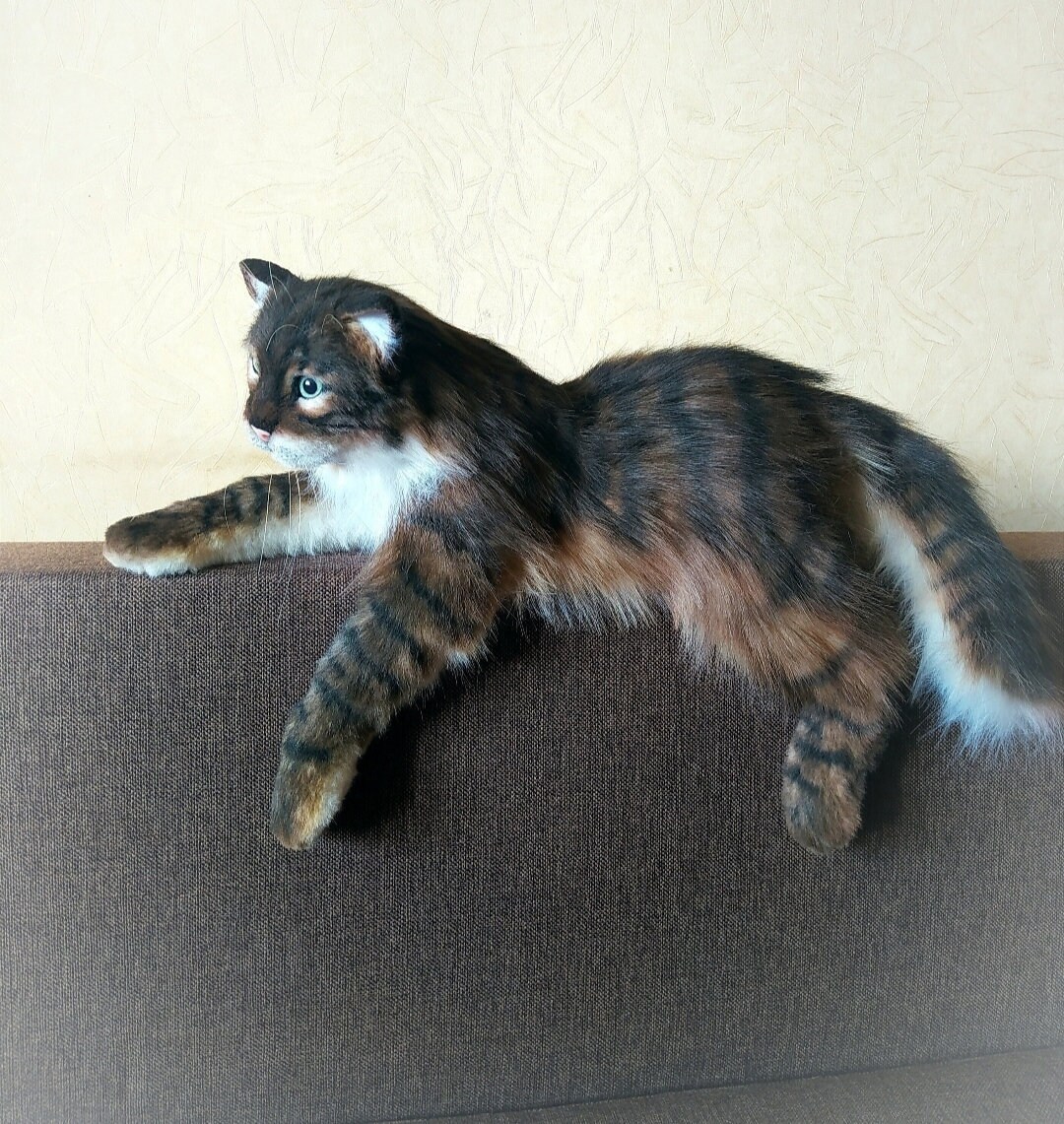 Realistic Big Plush Cat, Cat Plush, Plushie Toy, Pet Plush, Cat With ...