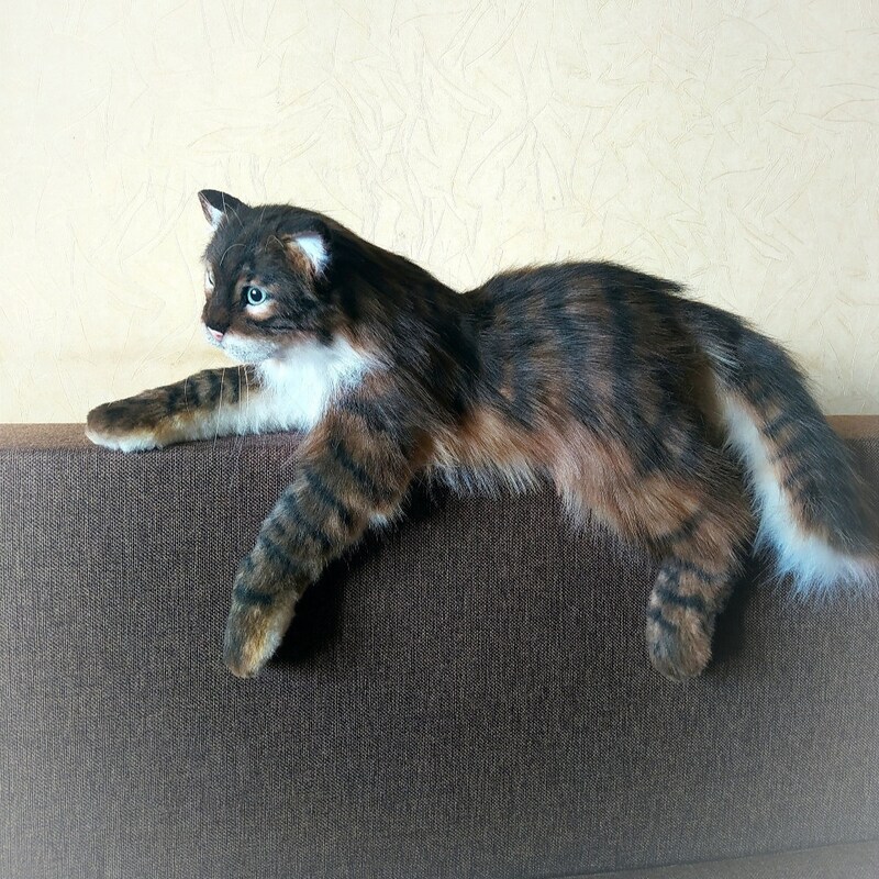 Realistic Cat - Etsy