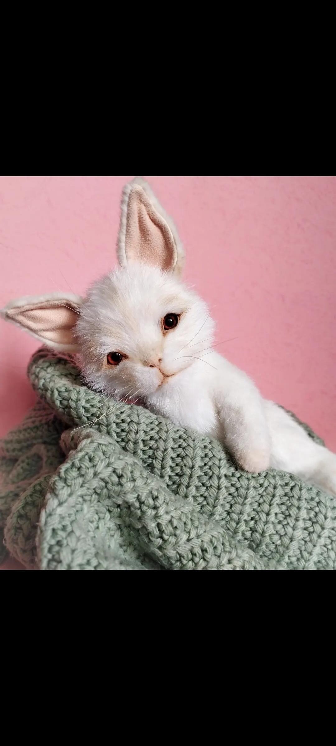 White Plush Rabbit, Stuffed Animal, Custom Plushie Toy, Bunny Soft Toy ...