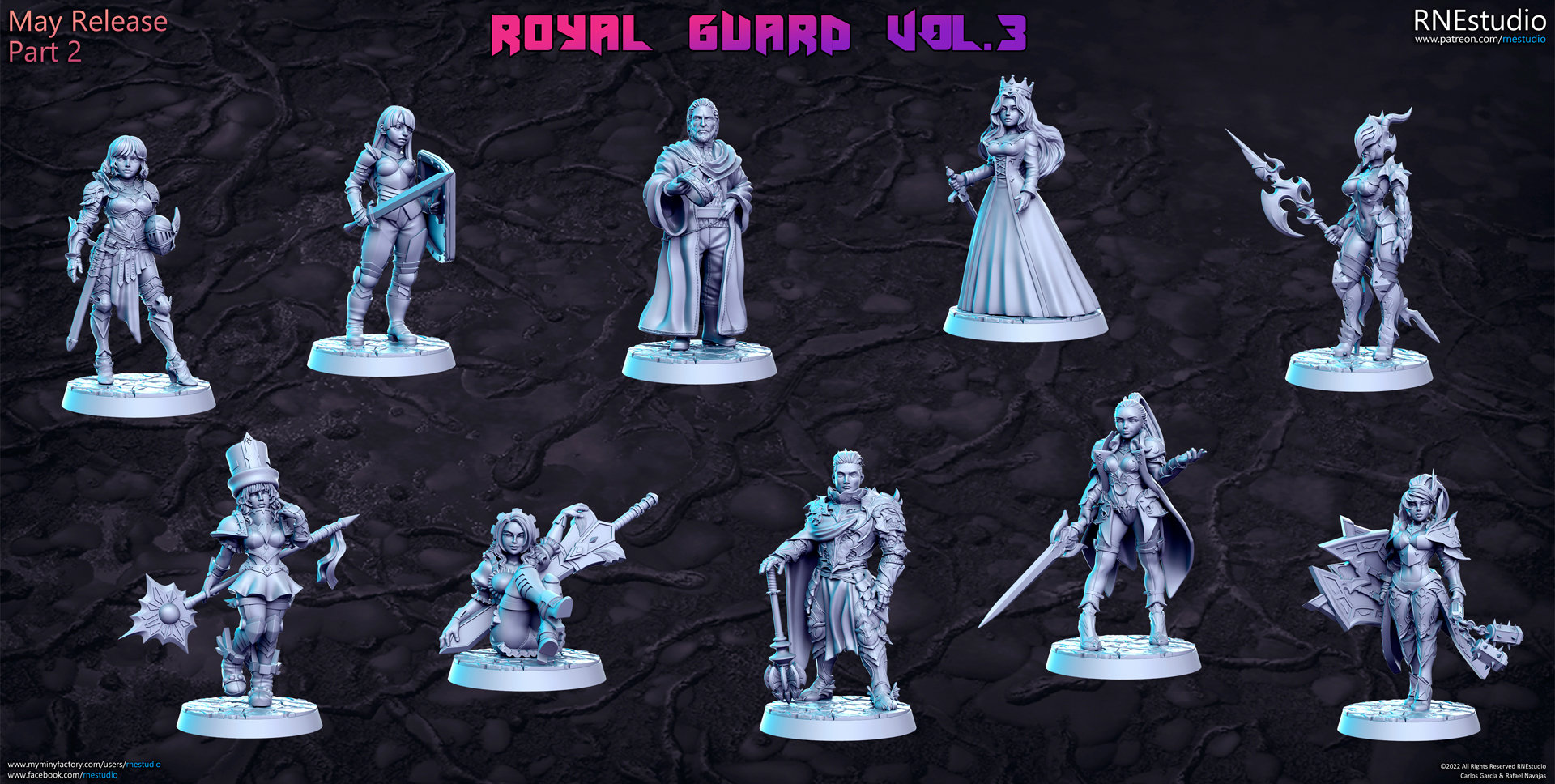 Royal Guard Vol. 3 Full Set Dnd Miniature Tabletop RPG Dnd - Etsy