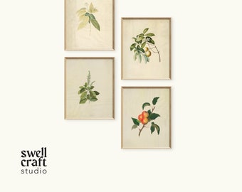 Vintage Cottage Cozy vintage Printable Art Set - Etsy