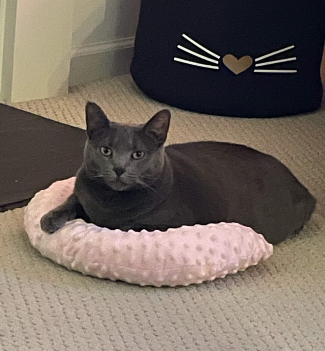 U-shaped Cat Pillow - Etsy