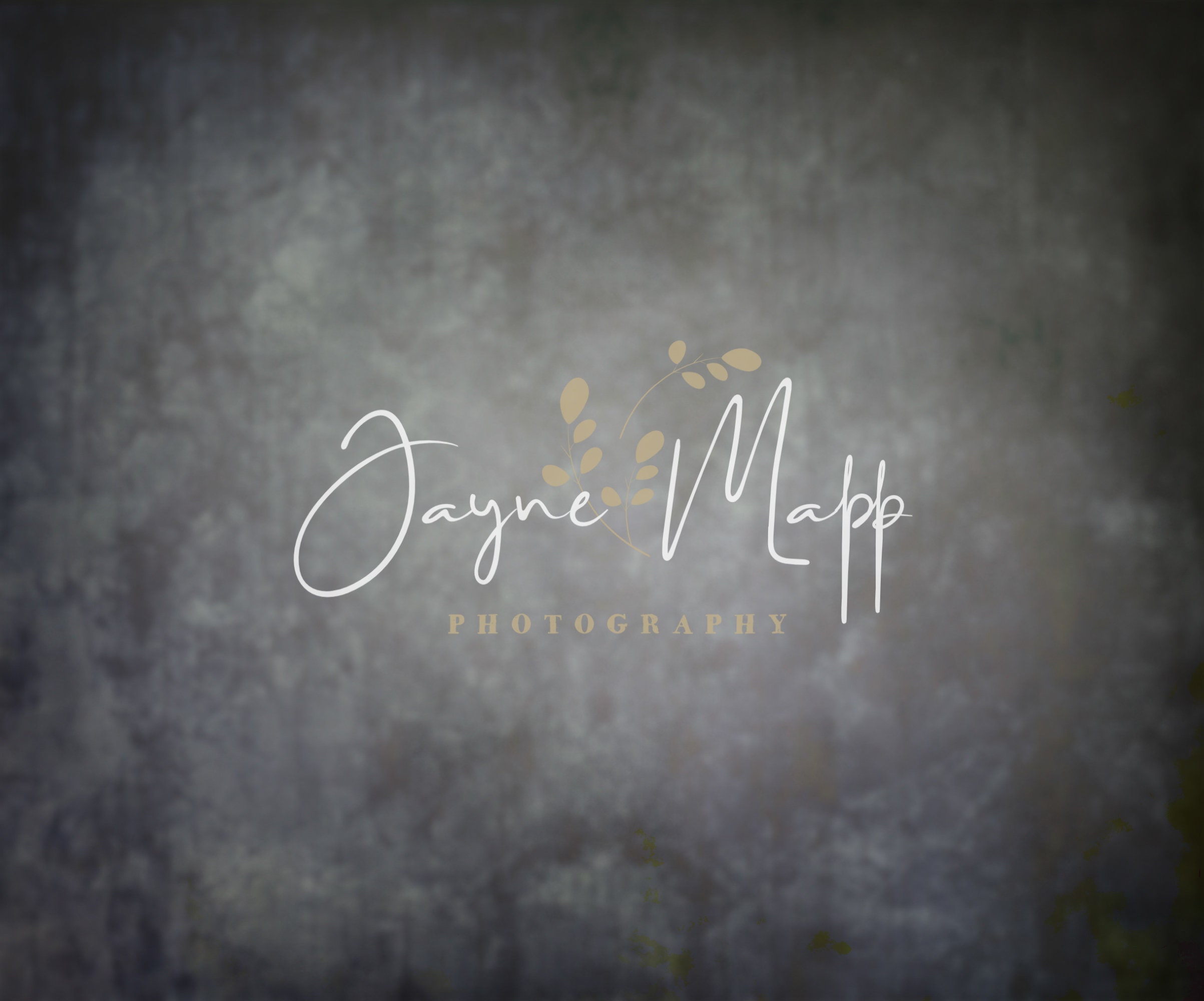 Luna Fine Art Texture Overlays: Portrait Photography Backdrops (digital ...