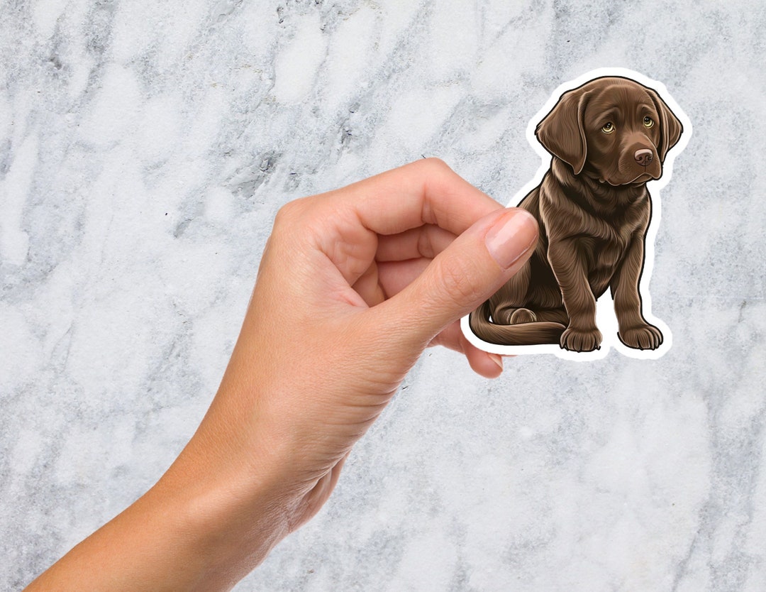 Cute Dark Lab, Chocolate Labrador Sticker, Dog Sticker, Animal Sticker ...