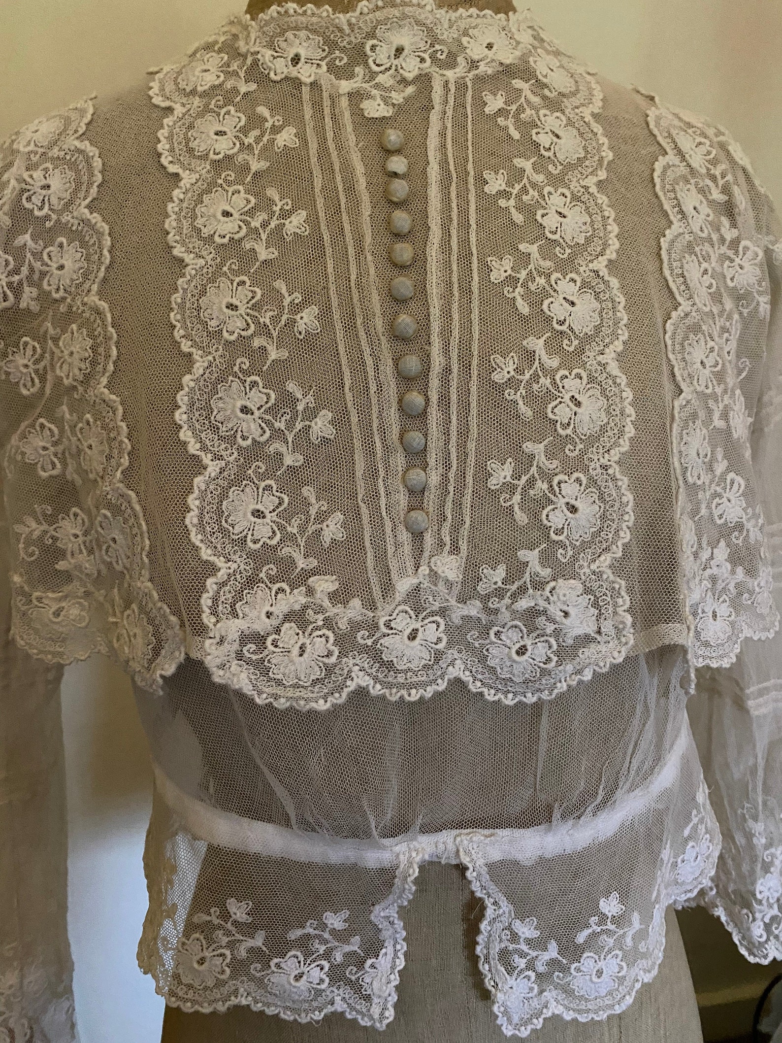 Exquisite Edwardian Tulle Blouse With Embroidered Panels, Tiny Covered ...
