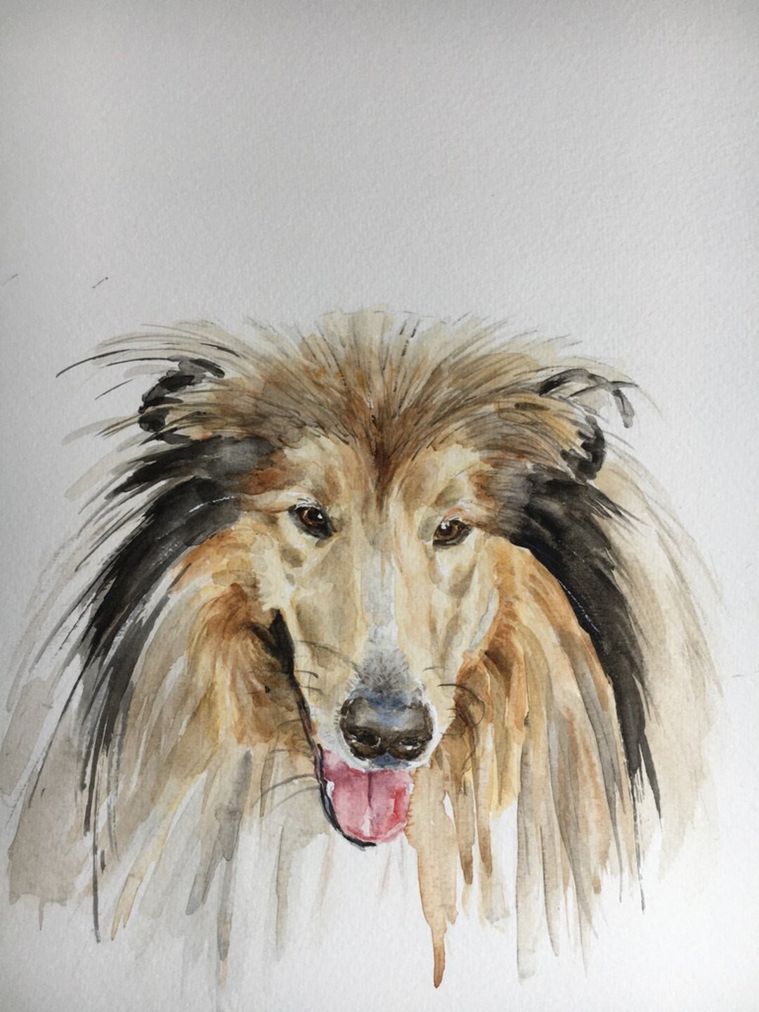High Quality Print of HAND PAINTED Original Watercolour. Collie, Rough ...