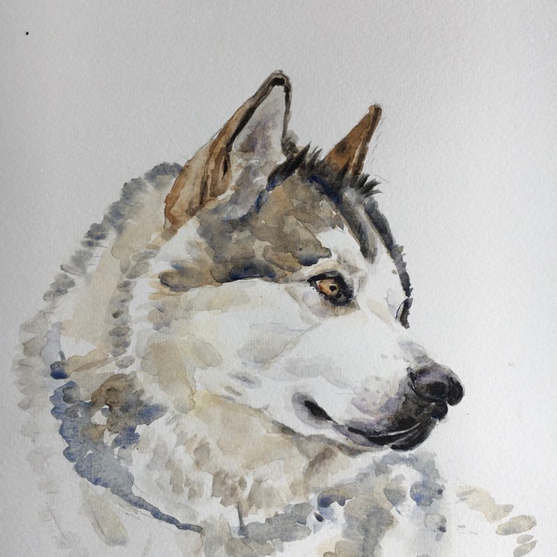 Husky Watercolor Painting - Etsy