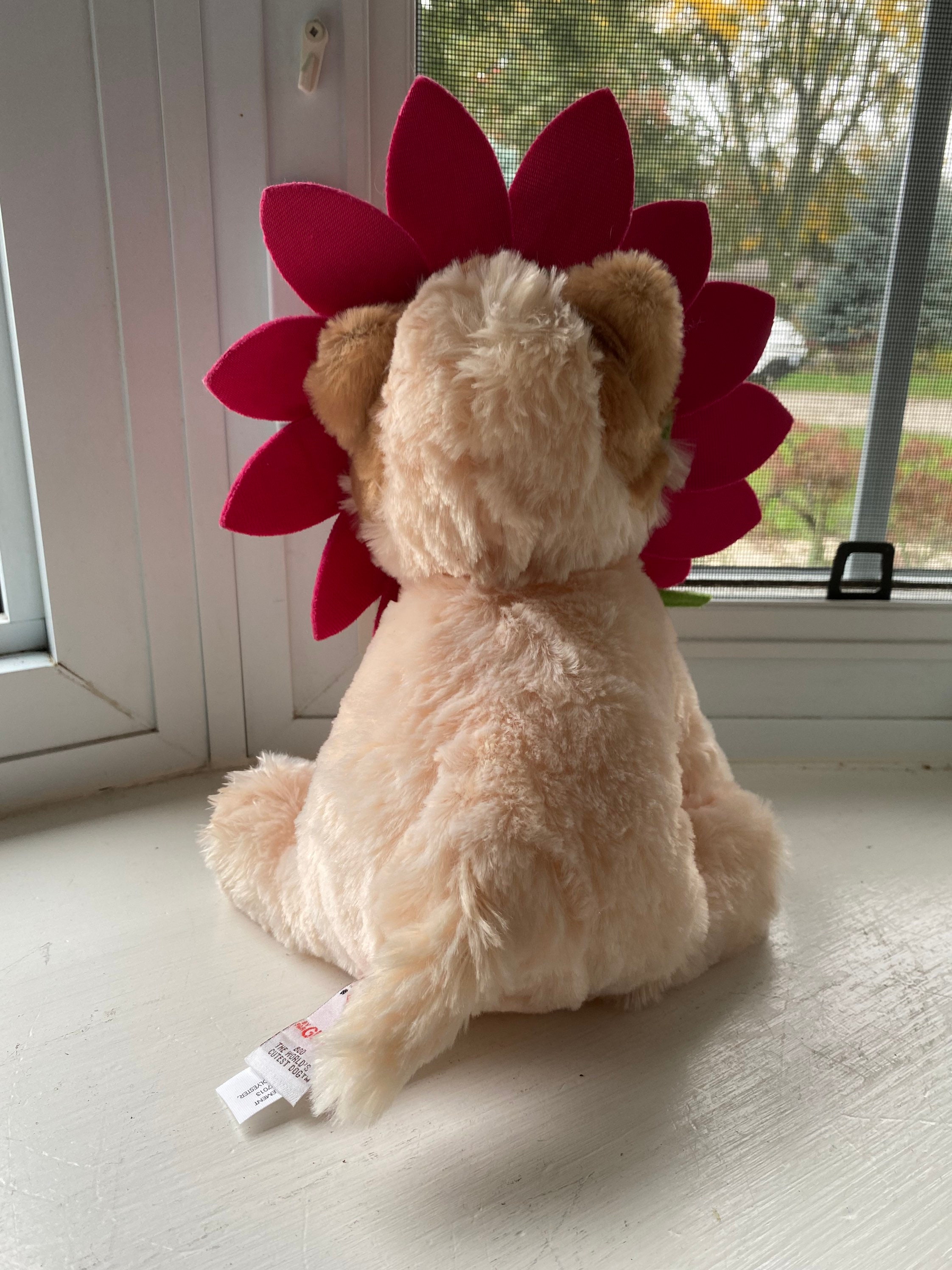 Boo the Worlds Cutest Dog by Gund Plush Stuffed Toy - Etsy