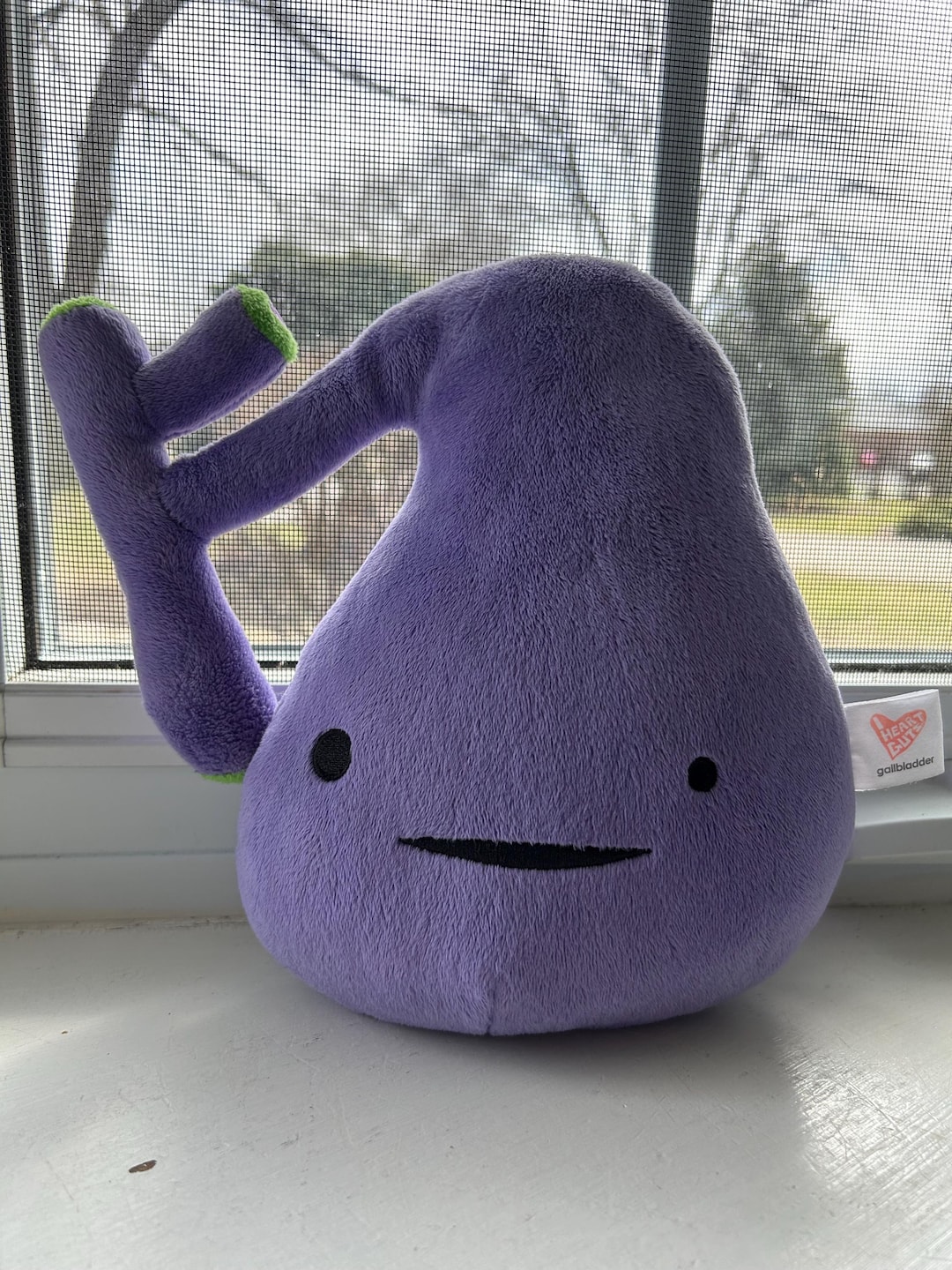 Gallbladder Shaped Plush, “you’ve Got Gall” I Heart Guts, Plush Stuffed ...