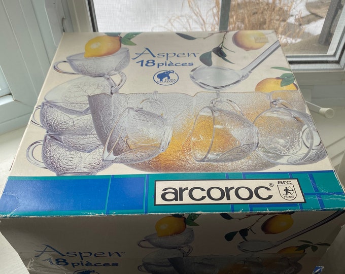 Vintage Arcoroc Aspen Punch Bowl Set, 18 Piece, Arcoroc France Aspen ...
