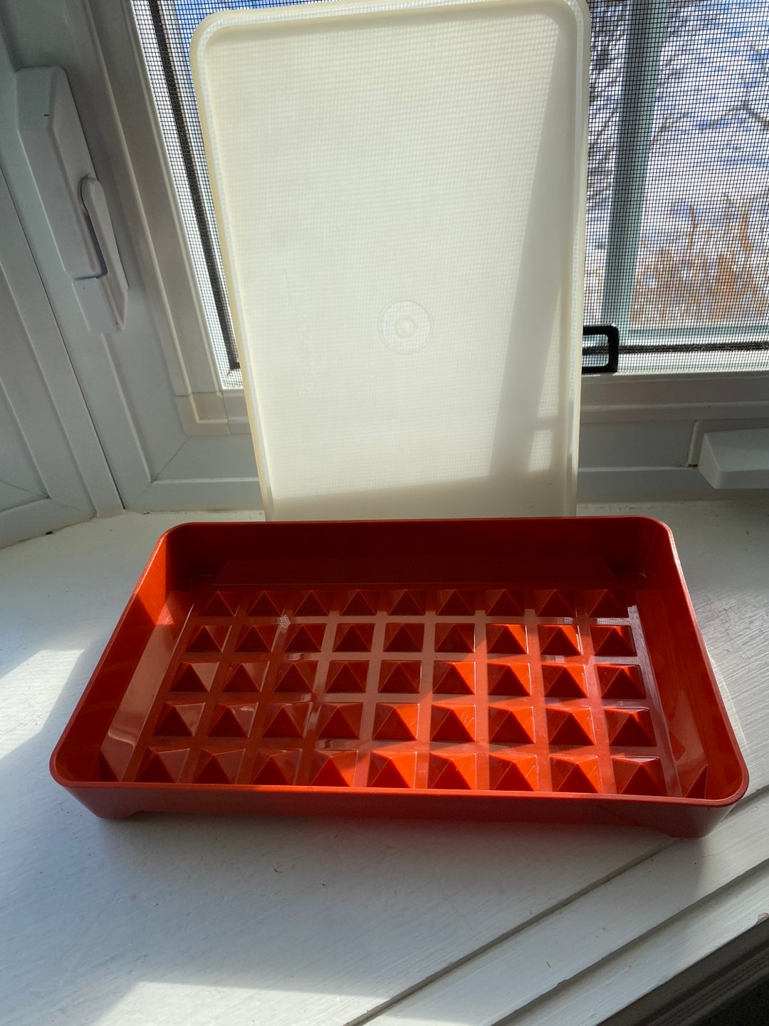 Vintage Tupperware 1292-5 Bacon Storage, Deli Meat Keeper Cold Cuts ...