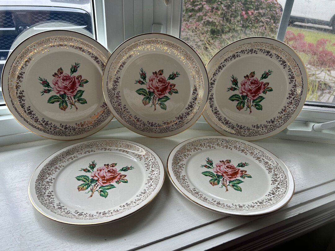 Georgian China Cornish Rose Plates, Set of 5, Perfect Condition - Etsy