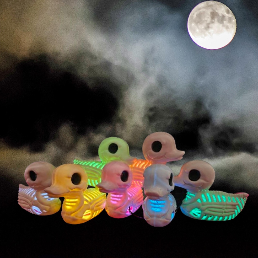 Light up Skeleton Ducks - Etsy