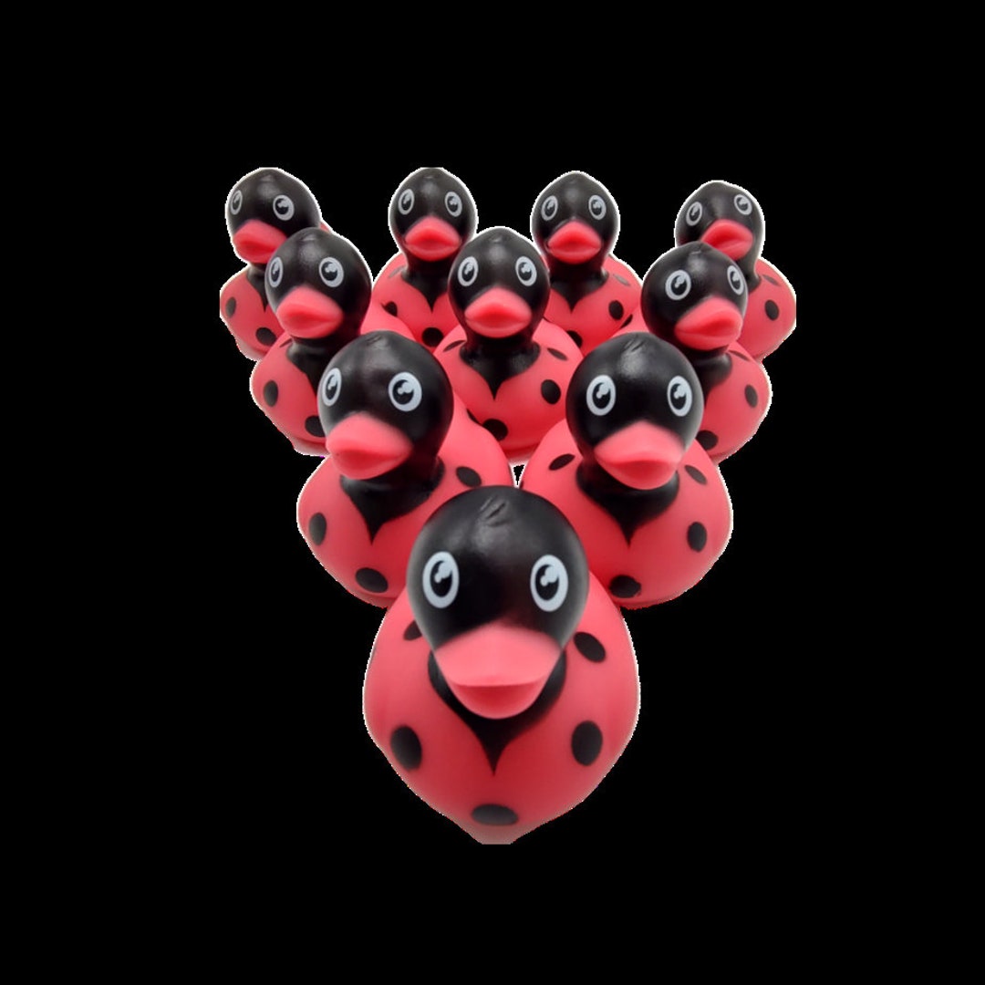10 Ladybug Ducks 2 Rubber Ducks - Etsy