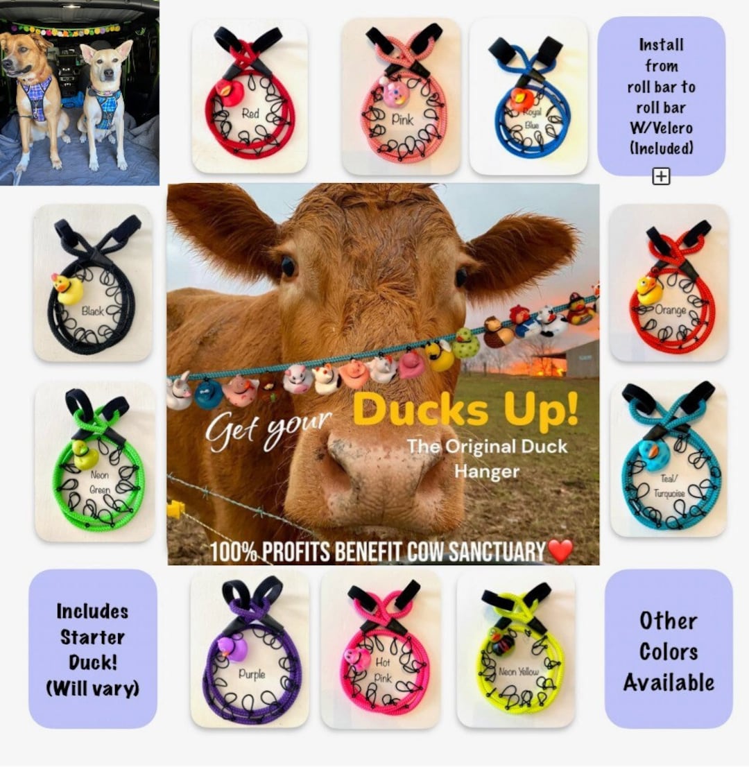 Rubber Duck Holder for Jeep Owners - Ducks up - 100% Charity Benefiting ...