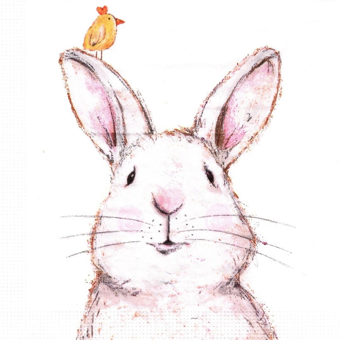 Two Paper Lunch Napkins for Decoupage/mixed Media Rabbit and Friend ...