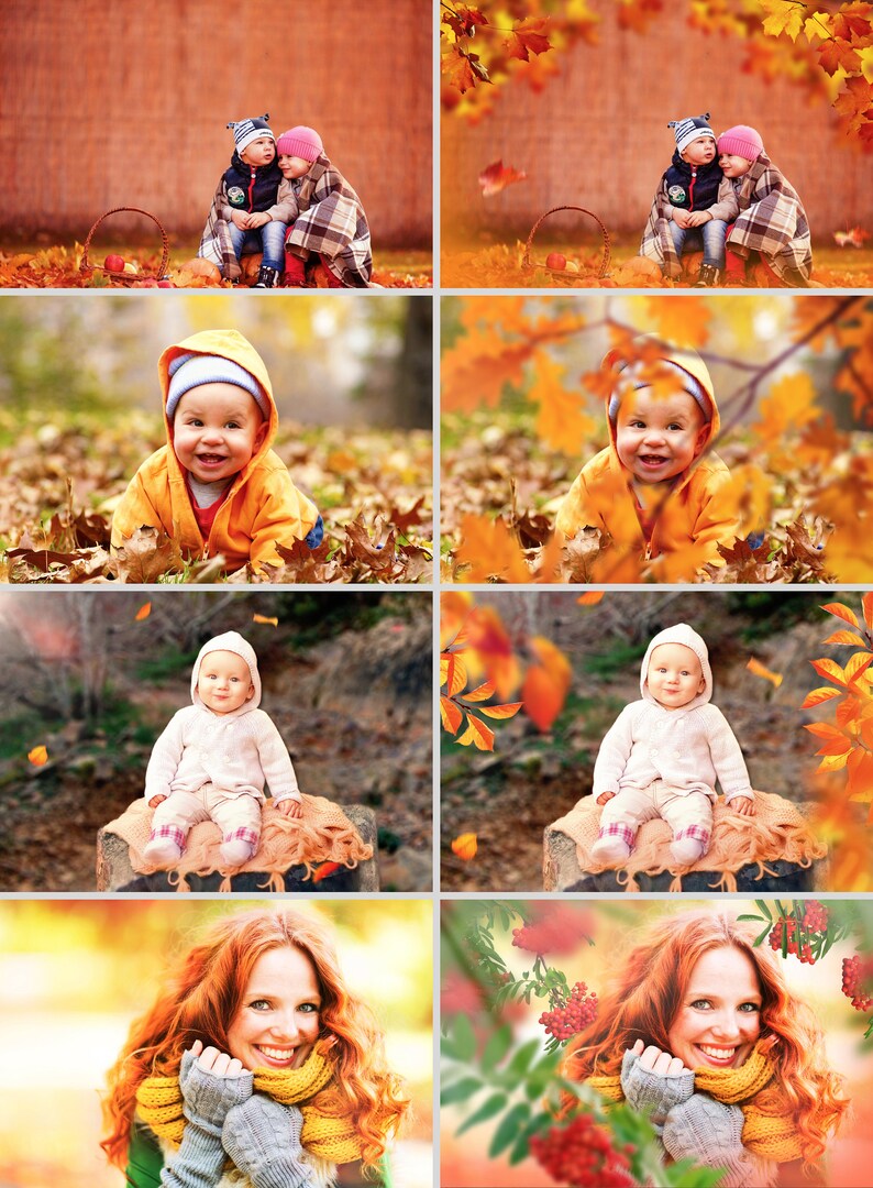 135 Fall Tree Branch Photo Overlays, Fall Autumn Foliage, Guelder Rose ...