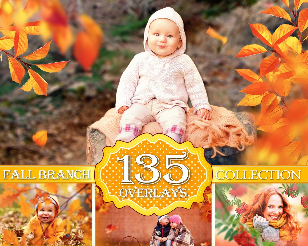135 Fall Tree Branch Photo Overlays, Fall Autumn Foliage, Guelder Rose ...