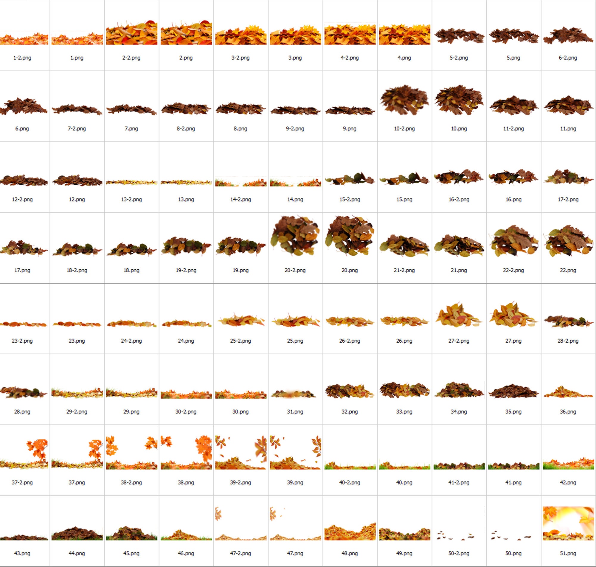 Bundle Fall Autumn Photo Overlays, Fallen Falling Leaves, Tree Branch ...