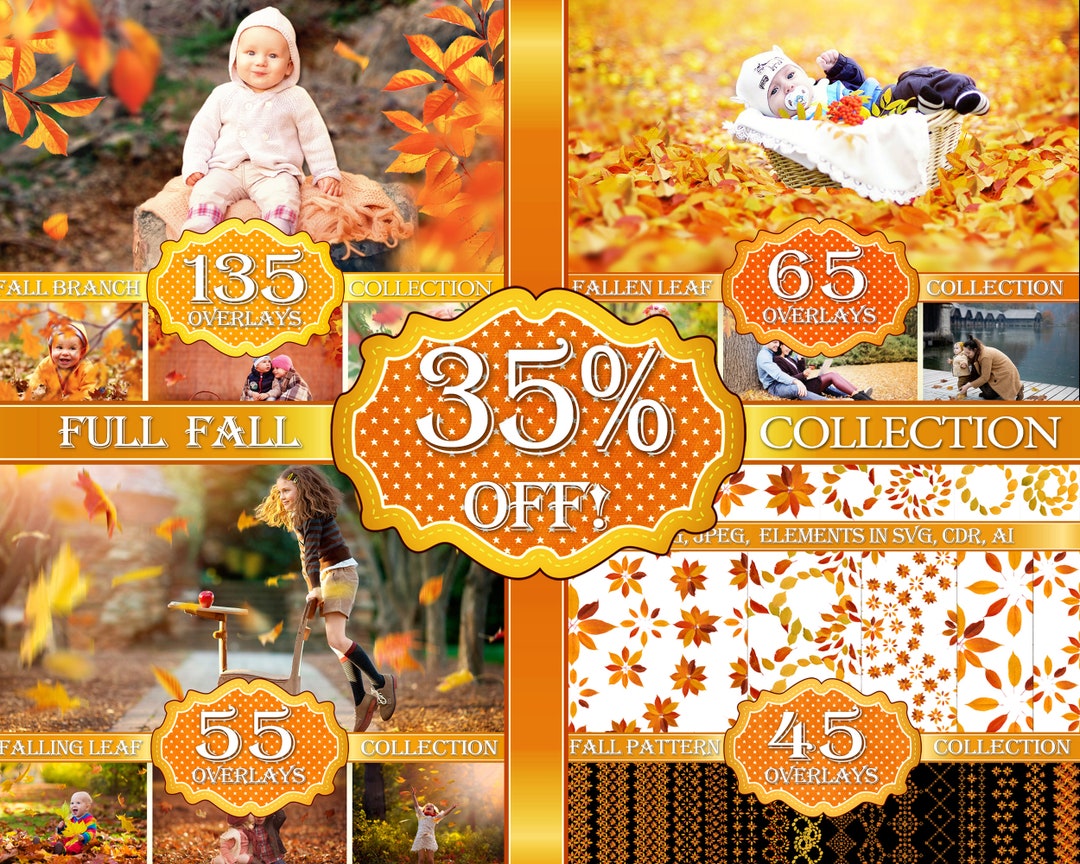 Bundle Fall Autumn Photo Overlays, Fallen Falling Leaves, Tree Branch ...