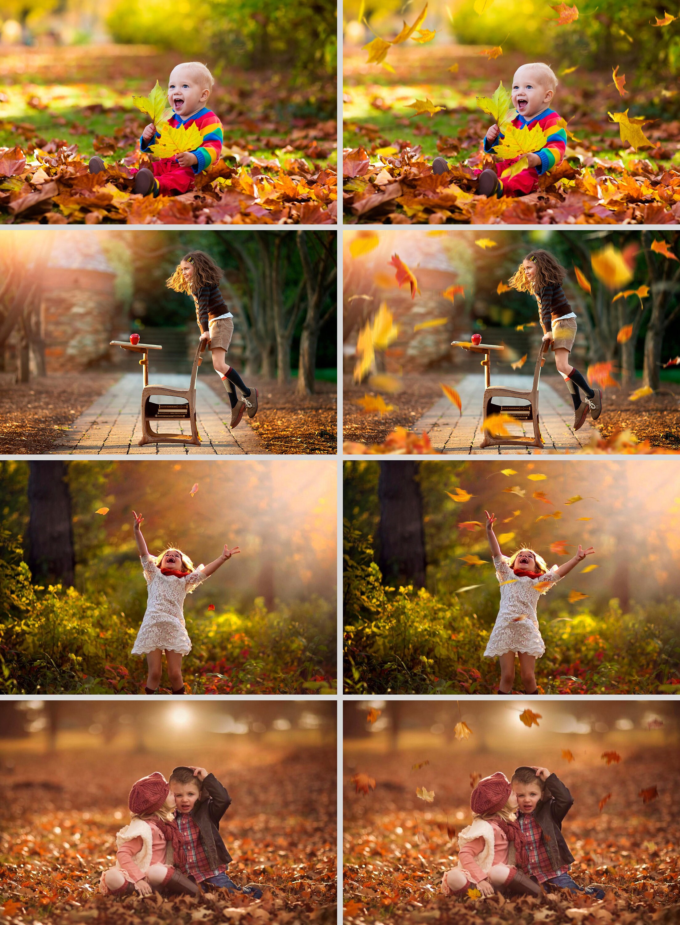Bundle Fall Autumn Photo Overlays, Fallen Falling Leaves, Tree Branch ...
