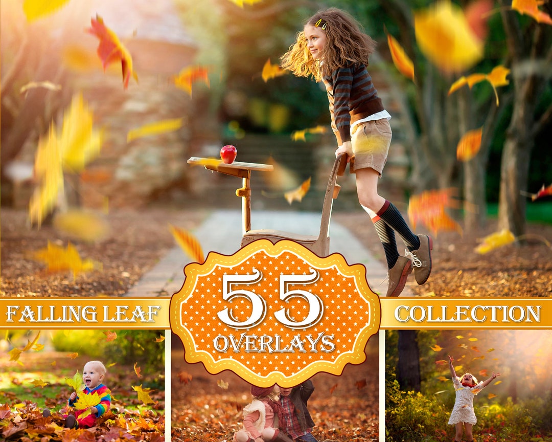 55 Falling Leaves Photo Overlays, Fall Autumn Falling Leaves Photo ...