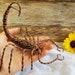 Large Handmade Copper Scorpion - Rustic Wire Sculpture - Recycled ...