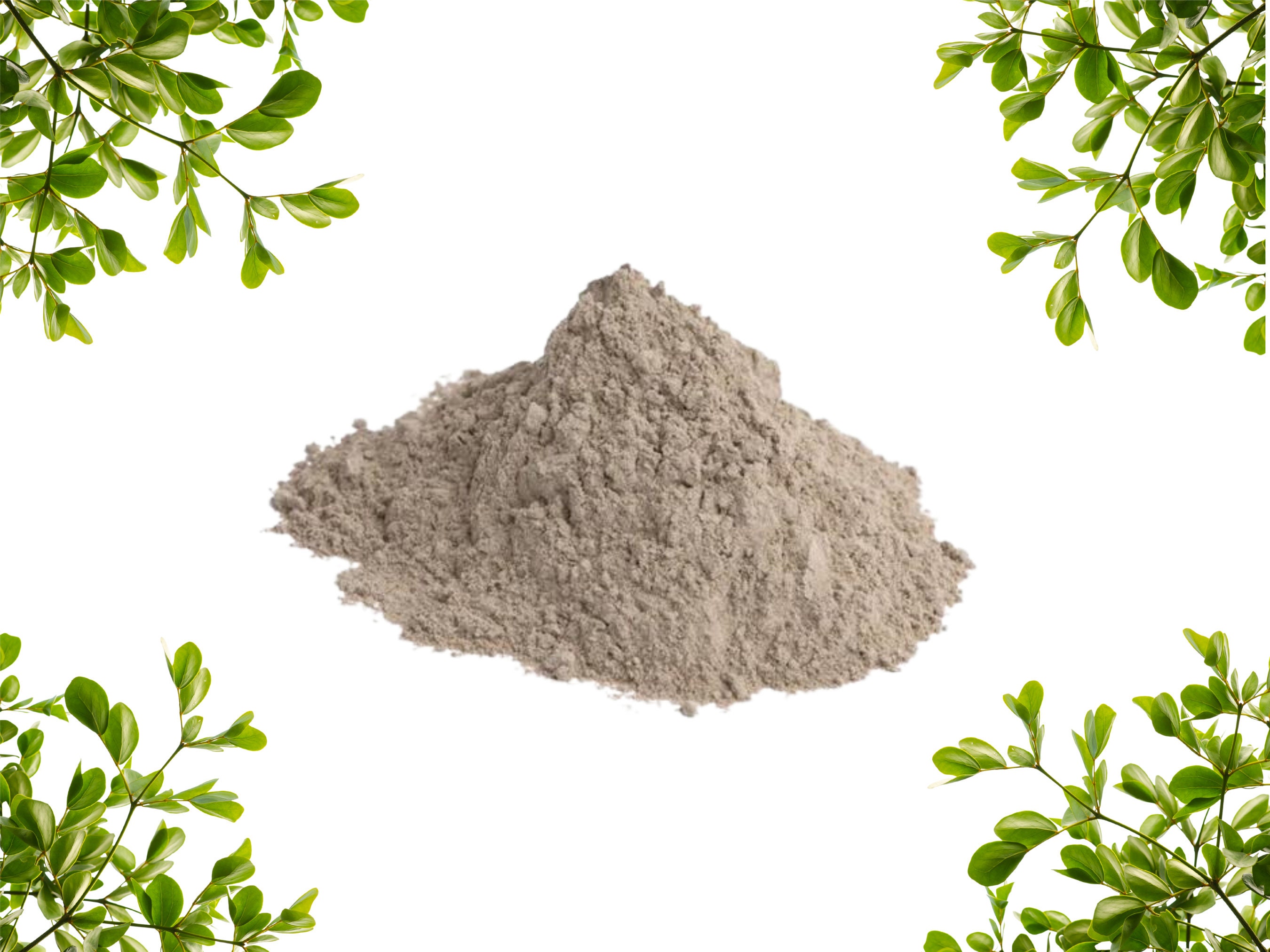 Super Food, Organic Irish Moss, Sea Moss Powder, Irish Moss Powder ...