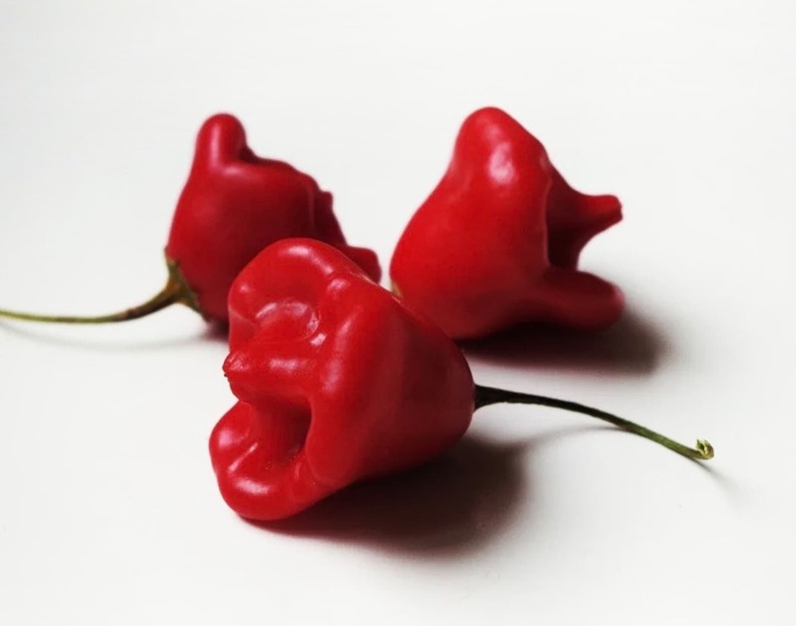 10+ Bishops Crown Pepper Seeds - Etsy