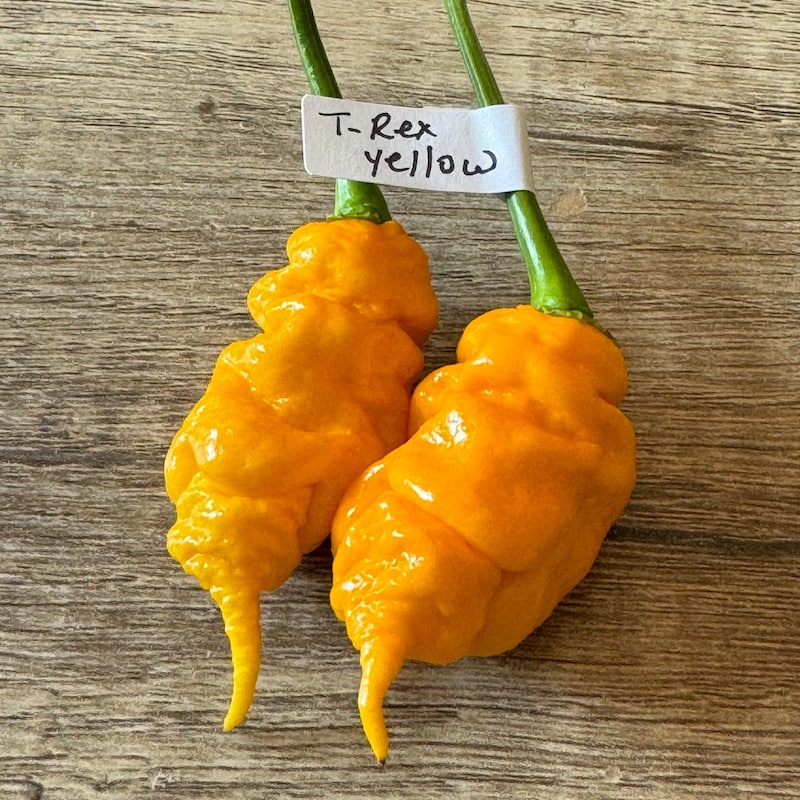 PeppersAnyHow - Etsy