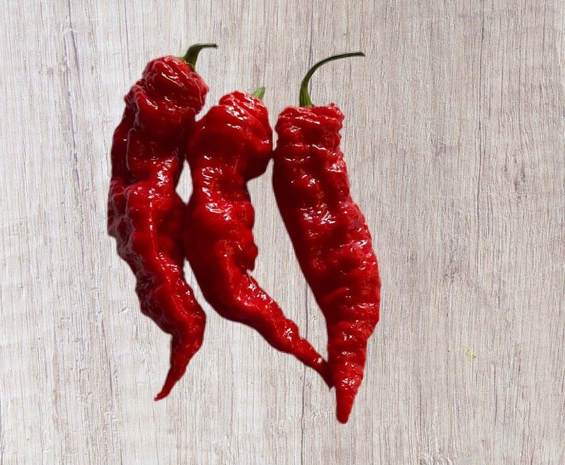 10 Jay's Red Ghost Scorpion Pepper Seeds - Etsy