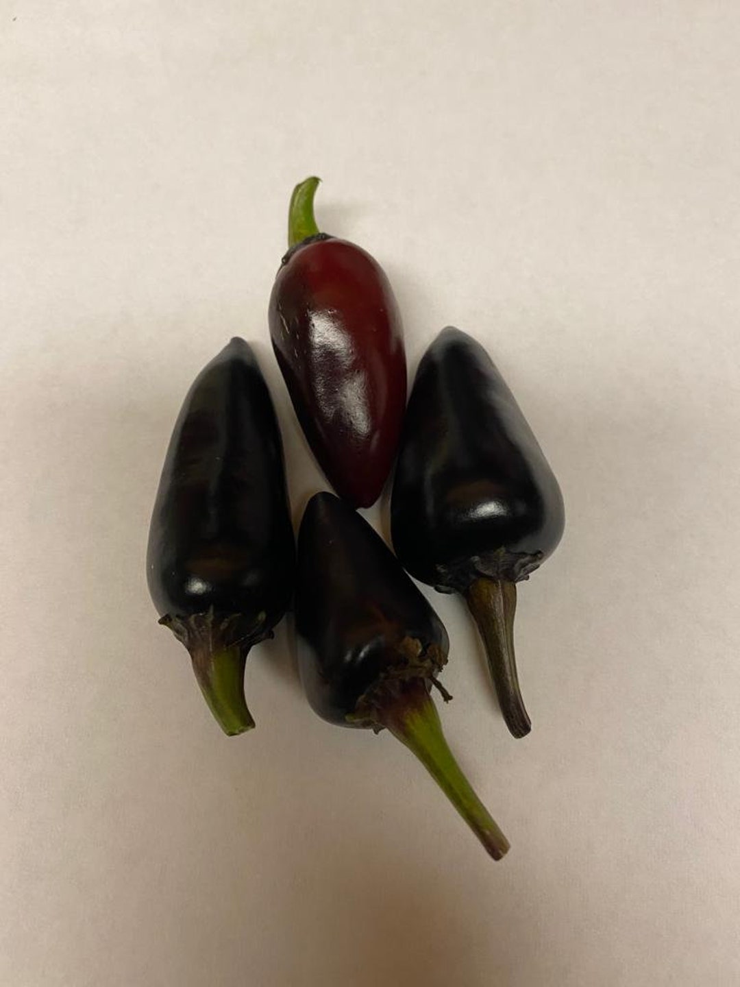 10 Purple Jalapeno Pepper Seeds - Etsy