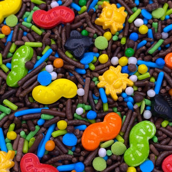 Summer Sprinkles - Etsy