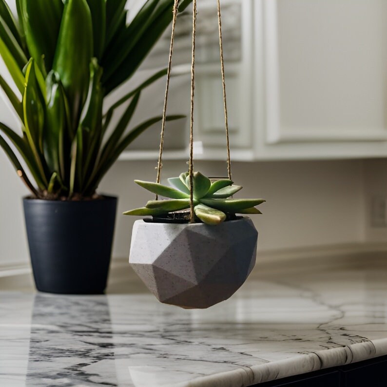 Hanging Geometric Planter for Succulents Modern Succulent Planter 3D ...