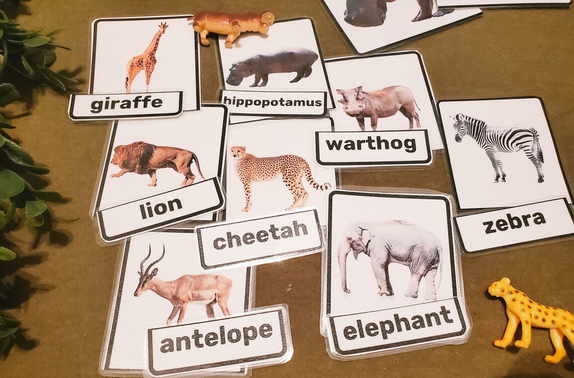 Safari Animal Flashcards, Animal Matching, African Animal Learning ...