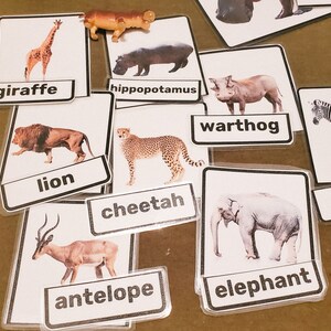 Safari Animal Flashcards, Animal Matching, African Animal Learning ...