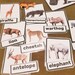 Safari Animal Flashcards, Animal Matching, African Animal Learning ...