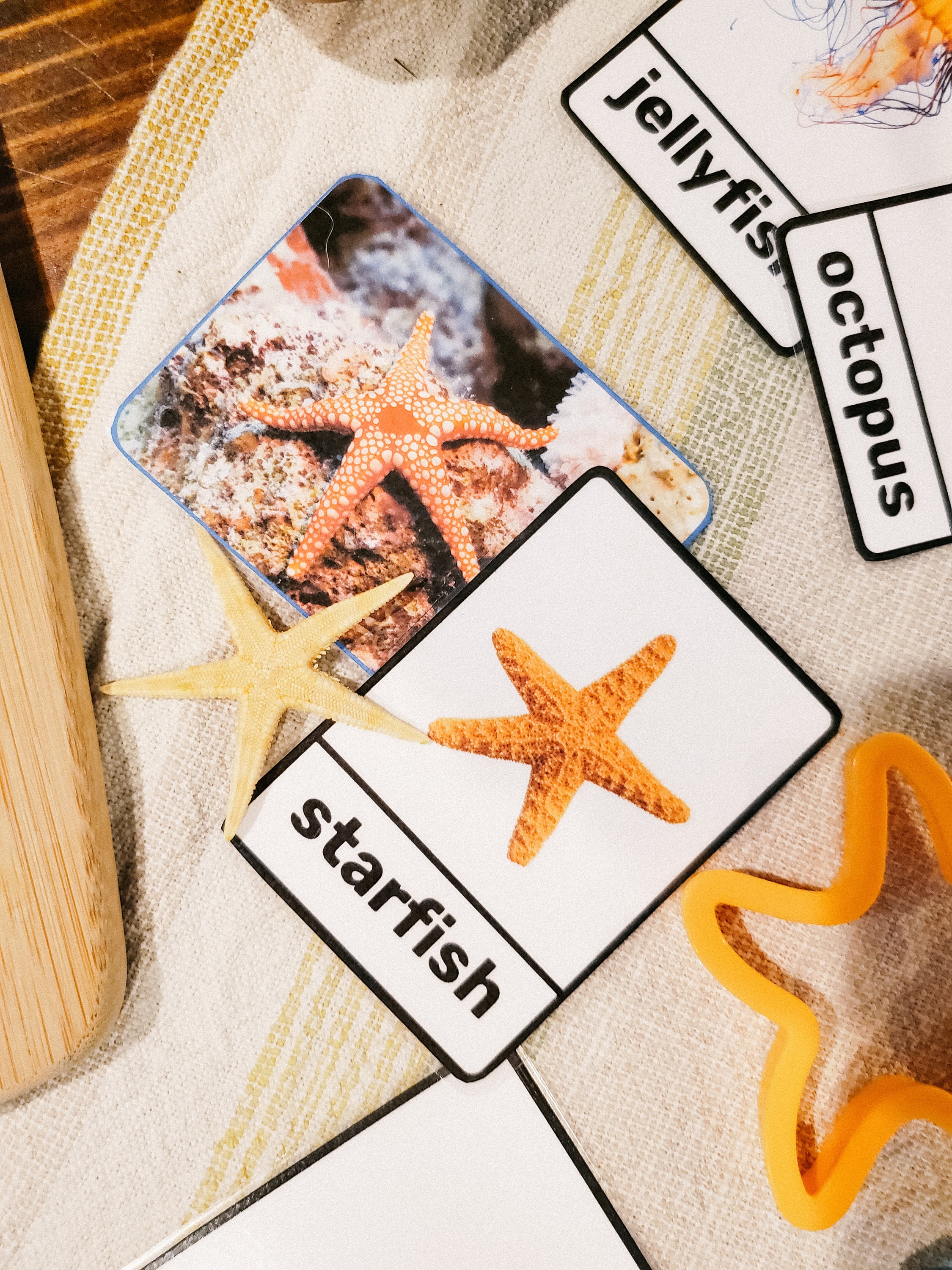 Ocean Animal Flashcards, Animal Matching, Ocean Animal Learning, Ocean ...