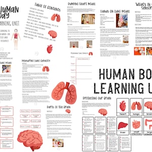 Human Body Themed Learning Unit, Body Parts, Flashcards, Homeschool ...
