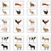 Farm Animal Flashcards, Animal Matching, Farm Animal Learning, Farm ...