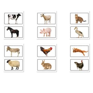Farm Animal Flashcards, Animal Matching, Farm Animal Learning, Farm ...
