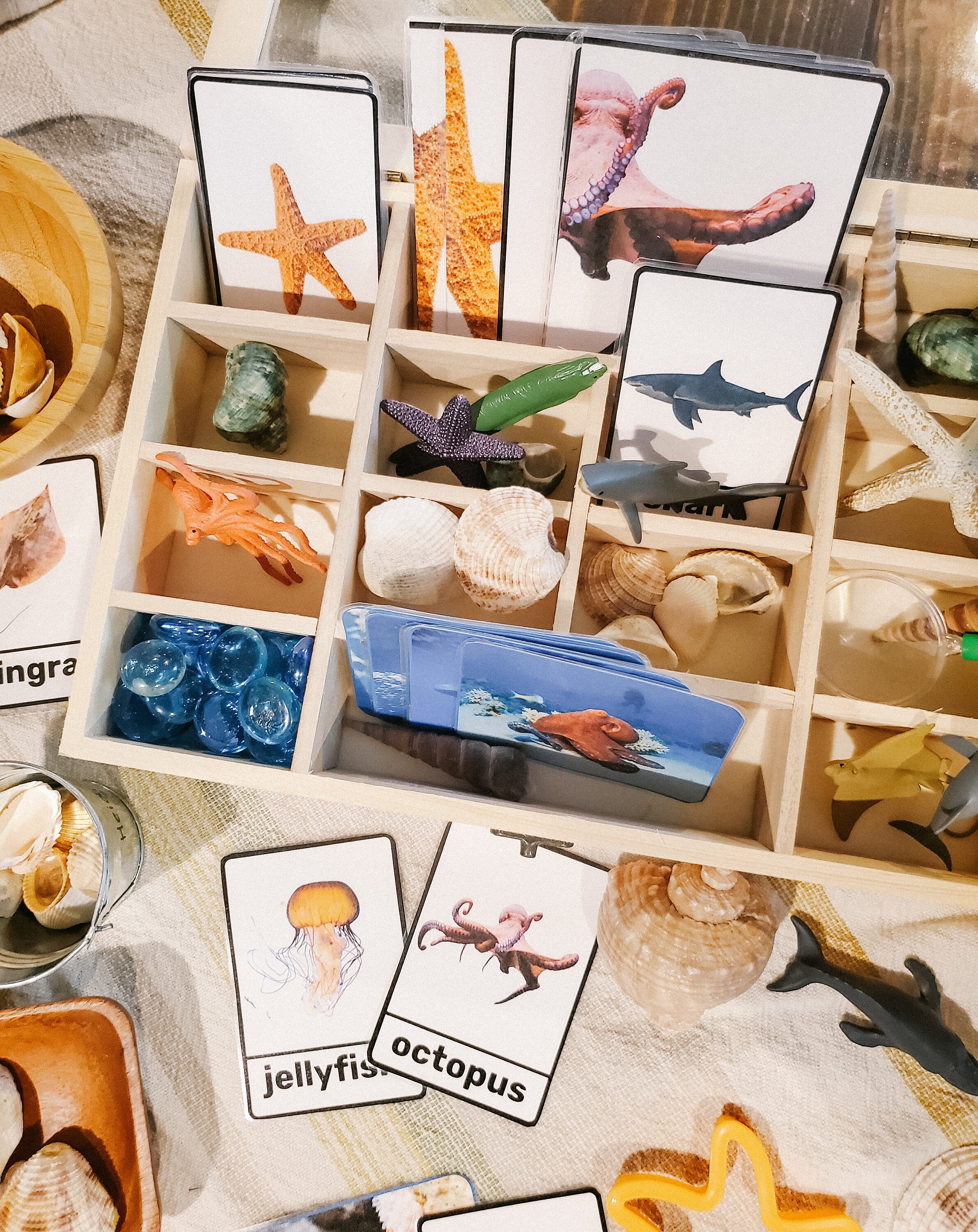 Ocean Animal Flashcards, Animal Matching, Ocean Animal Learning, Ocean ...