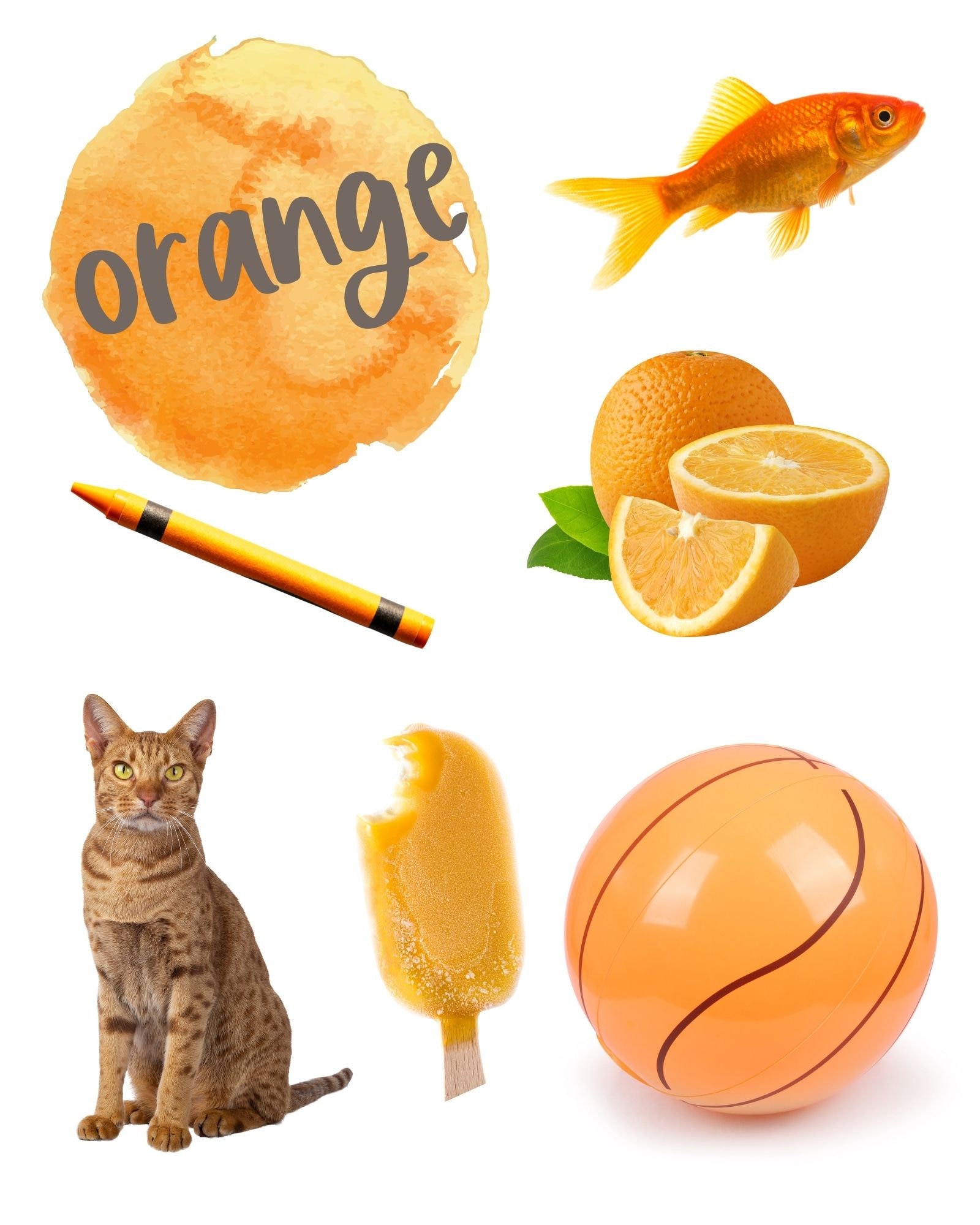 Color Resource Printables, Learning Colors, Basic Colors, Color Posters ...