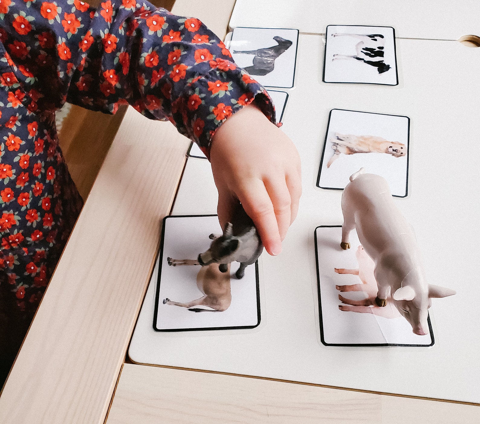 Farm Animal Flashcards, Animal Matching, Farm Animal Learning, Farm ...